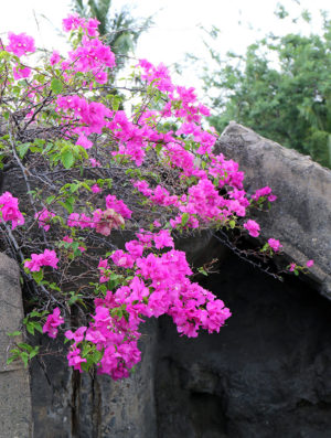 Rabaul Papua New Guinea & its Surreal Volcanic Moonscape - Belly Rumbles