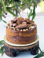 Tim Tam Slam Cake - A Tim Tam Lover's Dream - Belly Rumbles