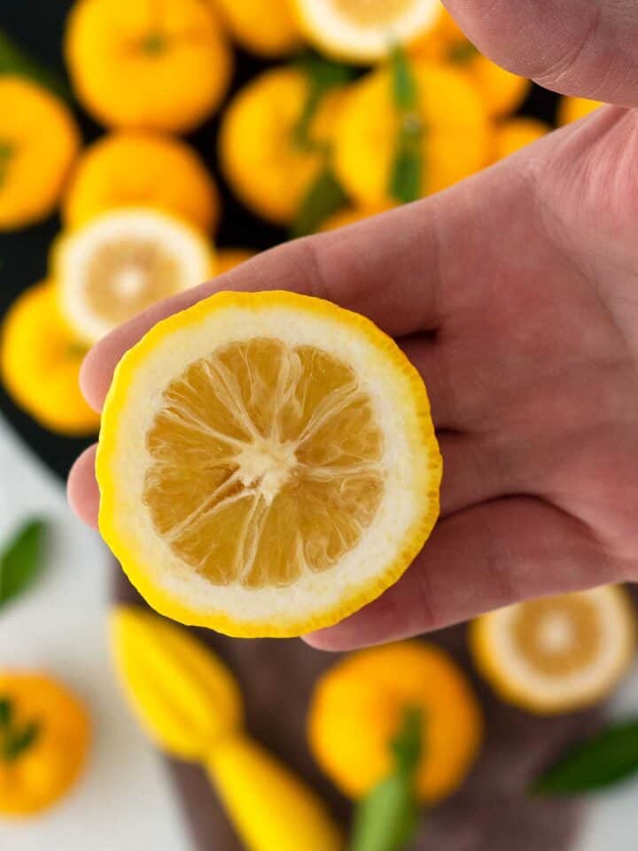 What is Yuzu and how to use it - Belly Rumbles