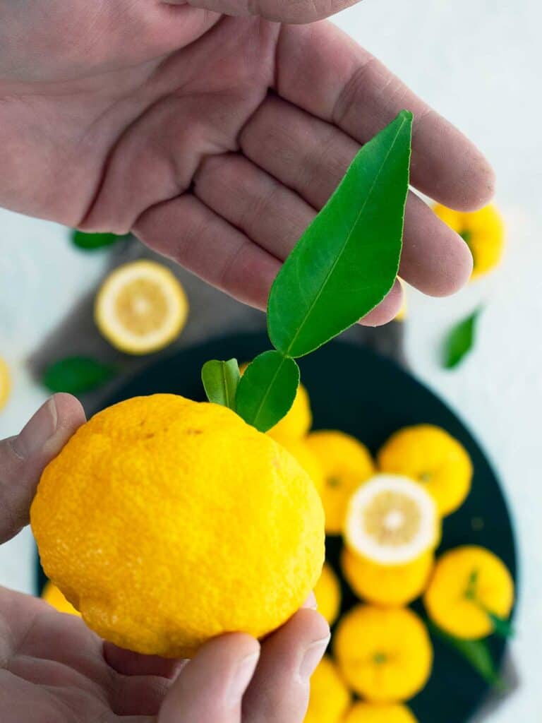 What is Yuzu and how to use it - Belly Rumbles